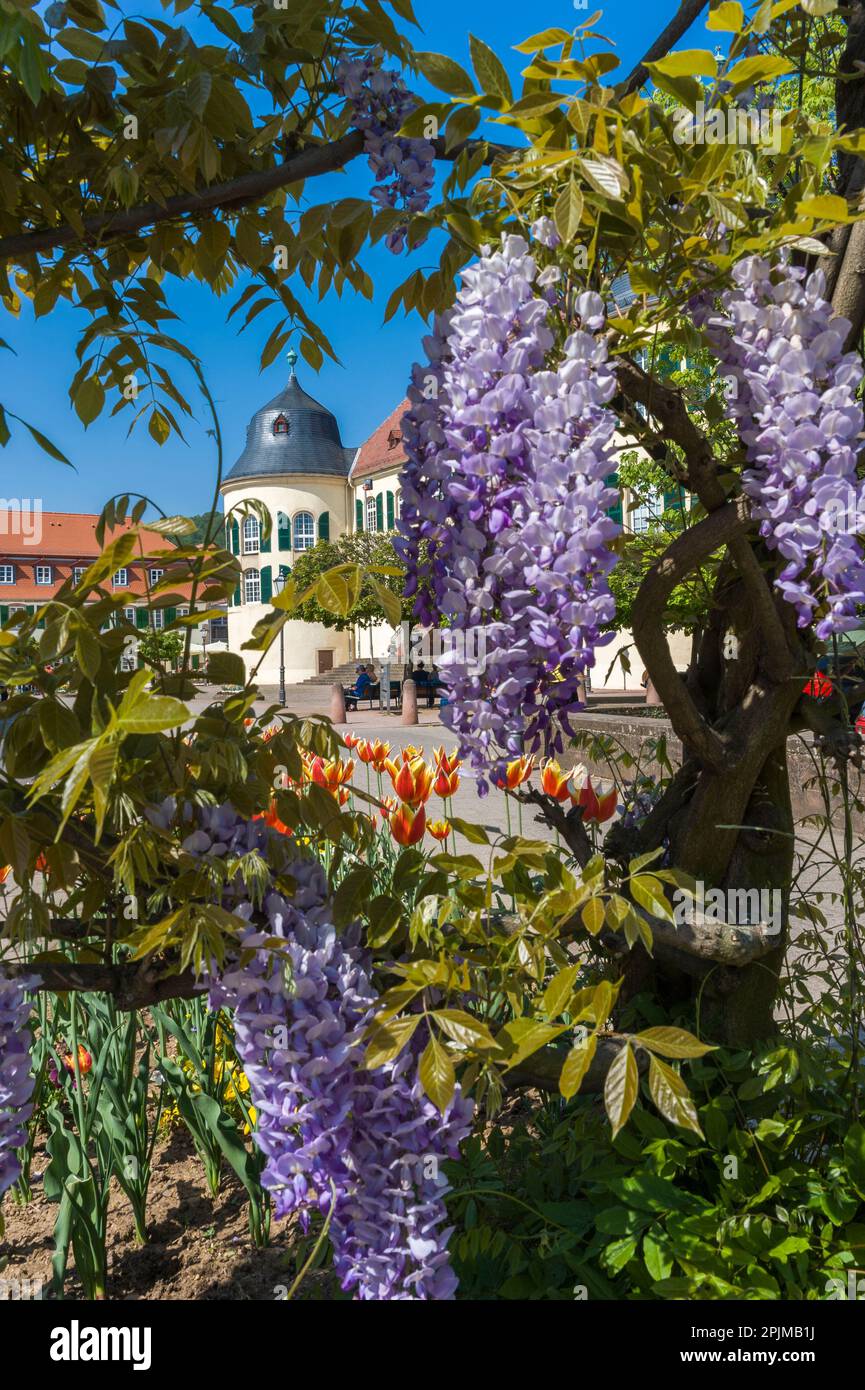Bergzabern Castle at Duchess Karoline Square, Bad Bergzabern ...