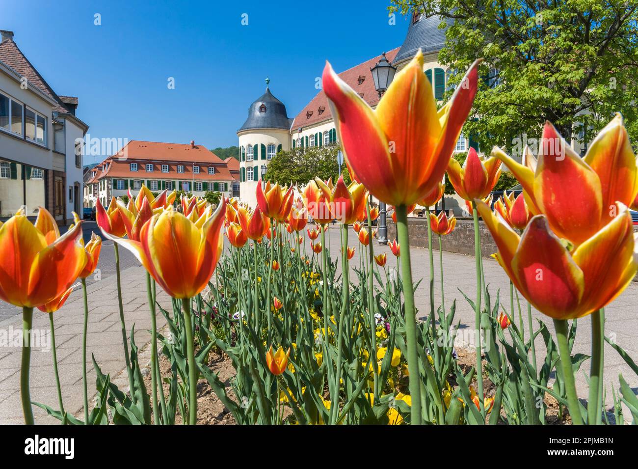 Bergzabern Castle at Duchess Karoline Square, Bad Bergzabern ...