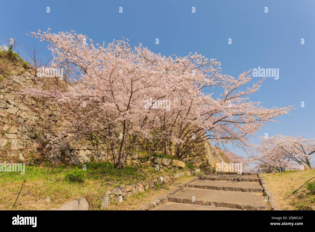Path and wide steps leading to the Ishigaki stone walls of Akashi ...