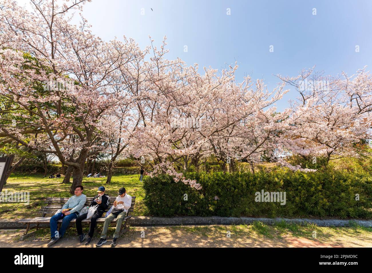 Three Japanese people sitting and relaxing on a park bench in the shade ...
