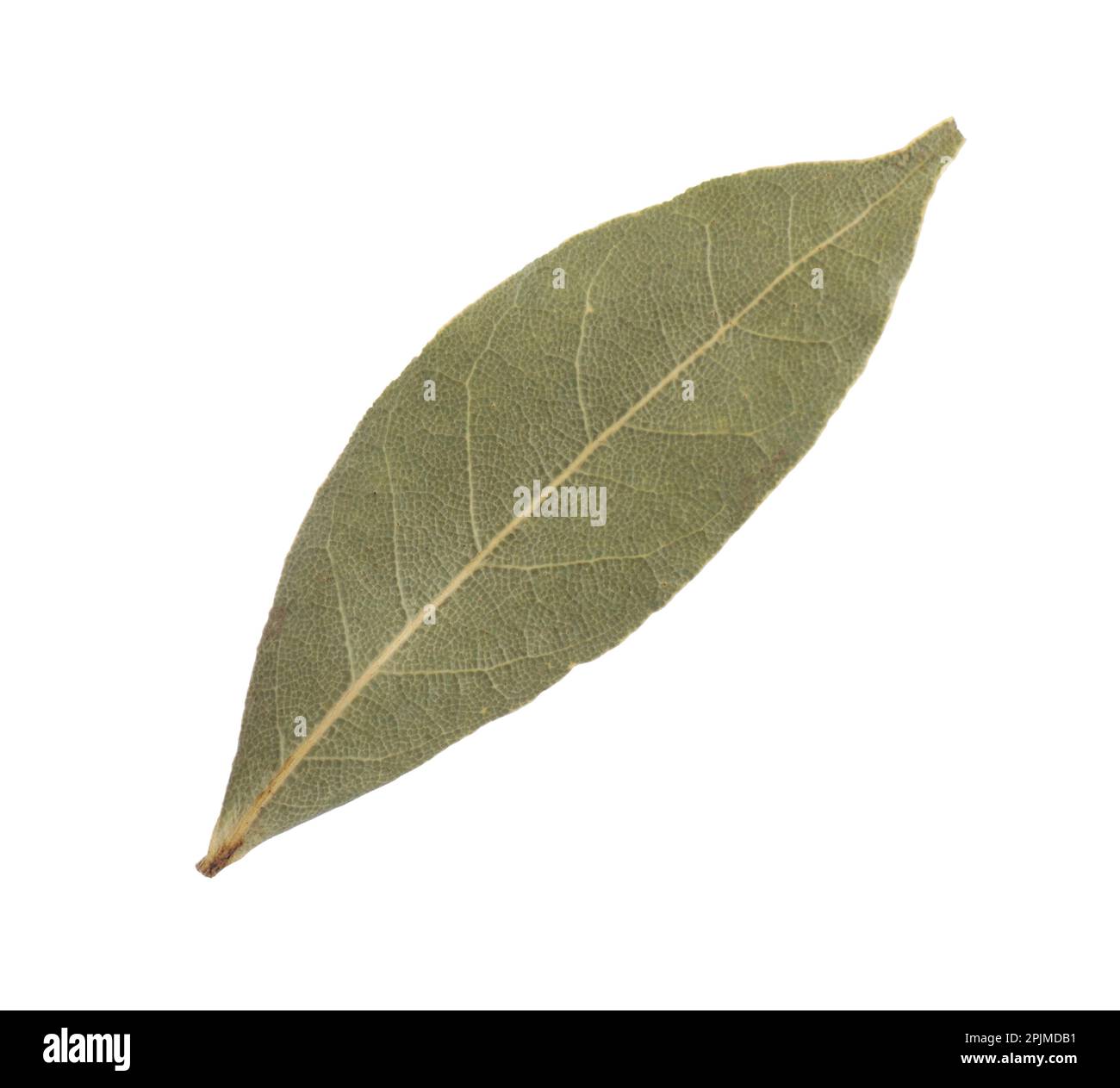 Aromatic bay leaf hi-res stock photography and images - Alamy