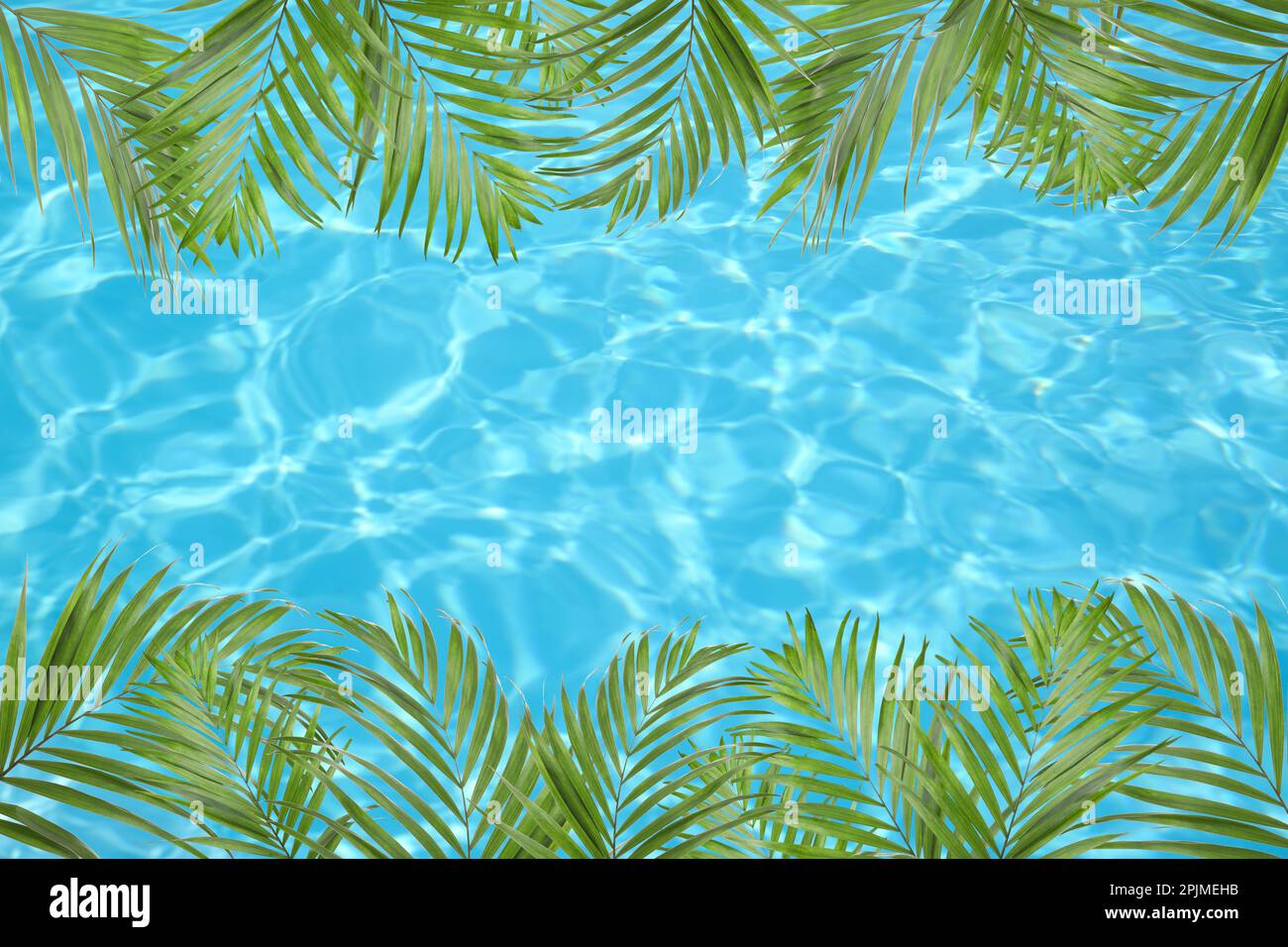 Swimming pool backdrop palm tree hi-res stock photography and images ...