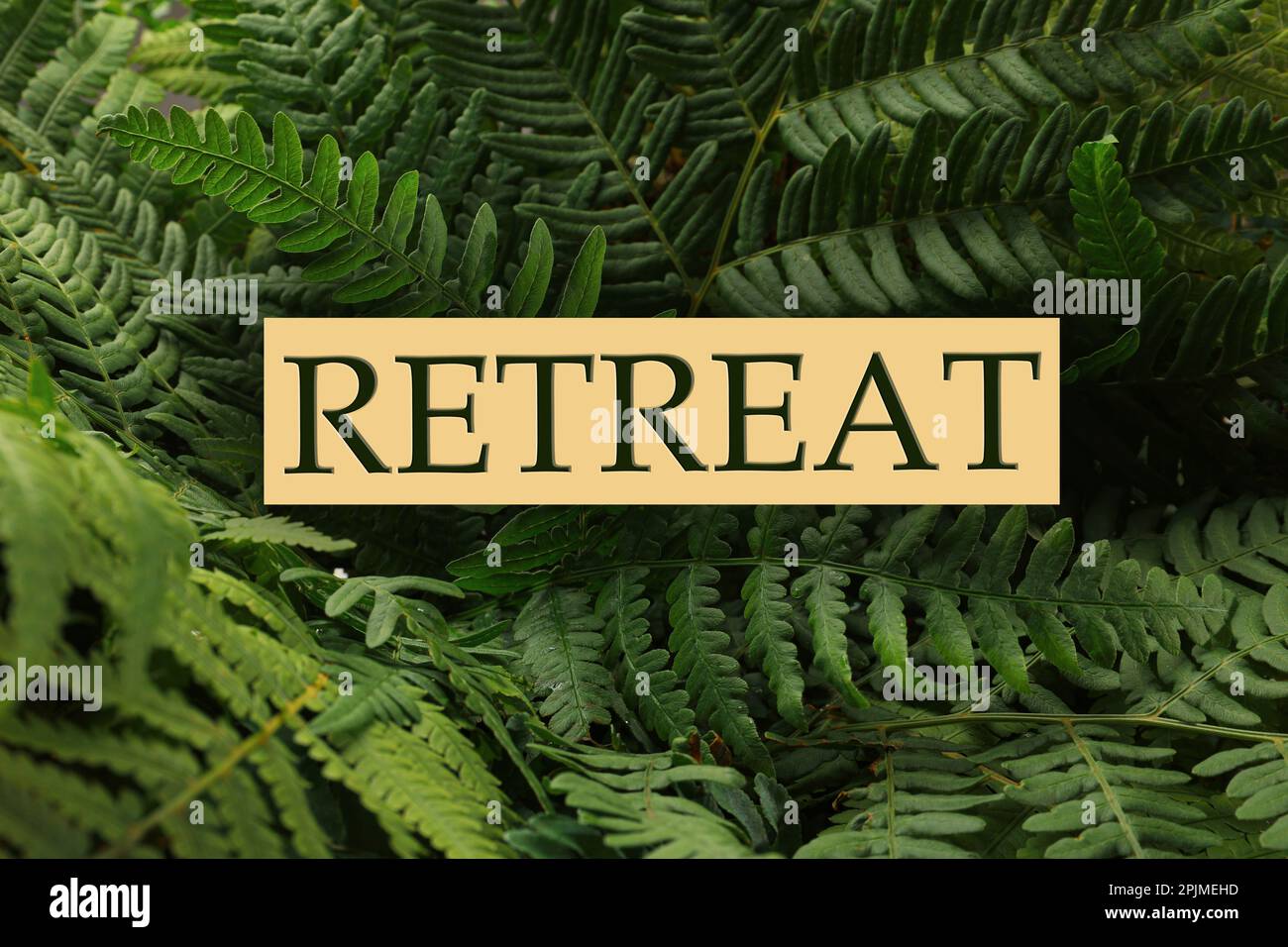 Lush retreat hi-res stock photography and images - Alamy