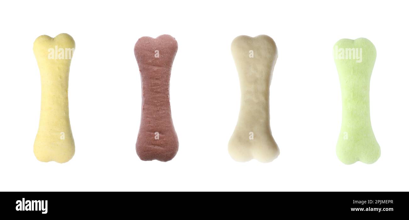 Set of different bone shaped dog cookies on white background. Banner ...