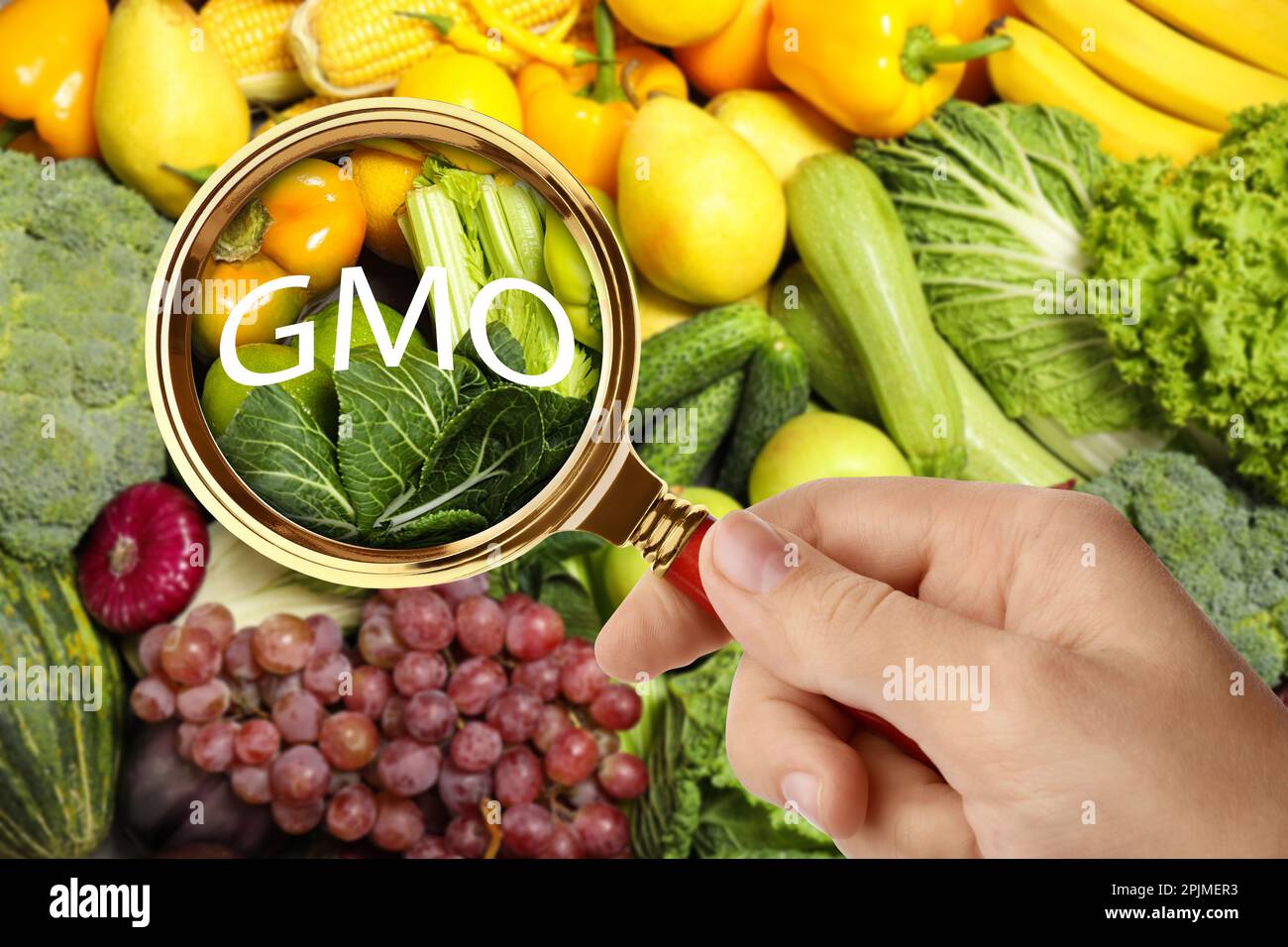 Woman holding magnifying glass over fresh vegetables and fruits ...