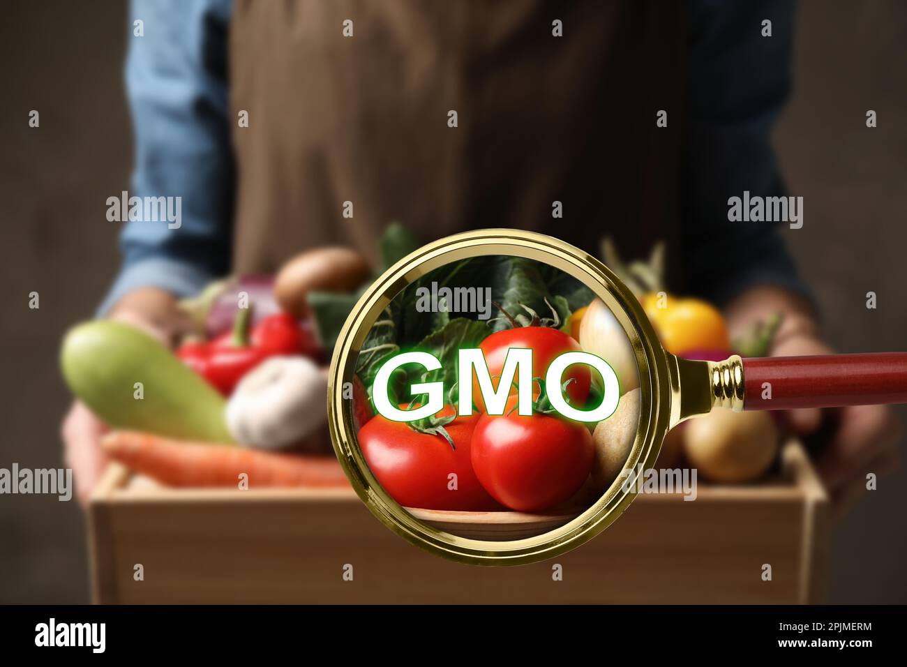 View through magnifying glass on fresh vegetables. GMO concept Stock ...
