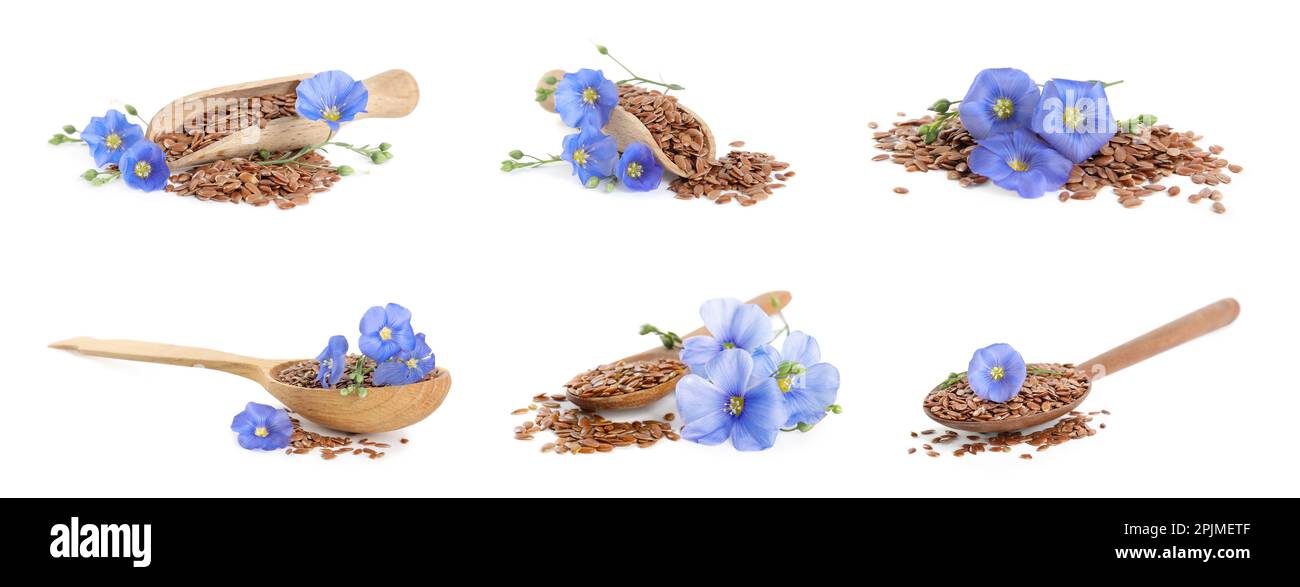 Set with flax seeds and flowers on white background. Banner design ...