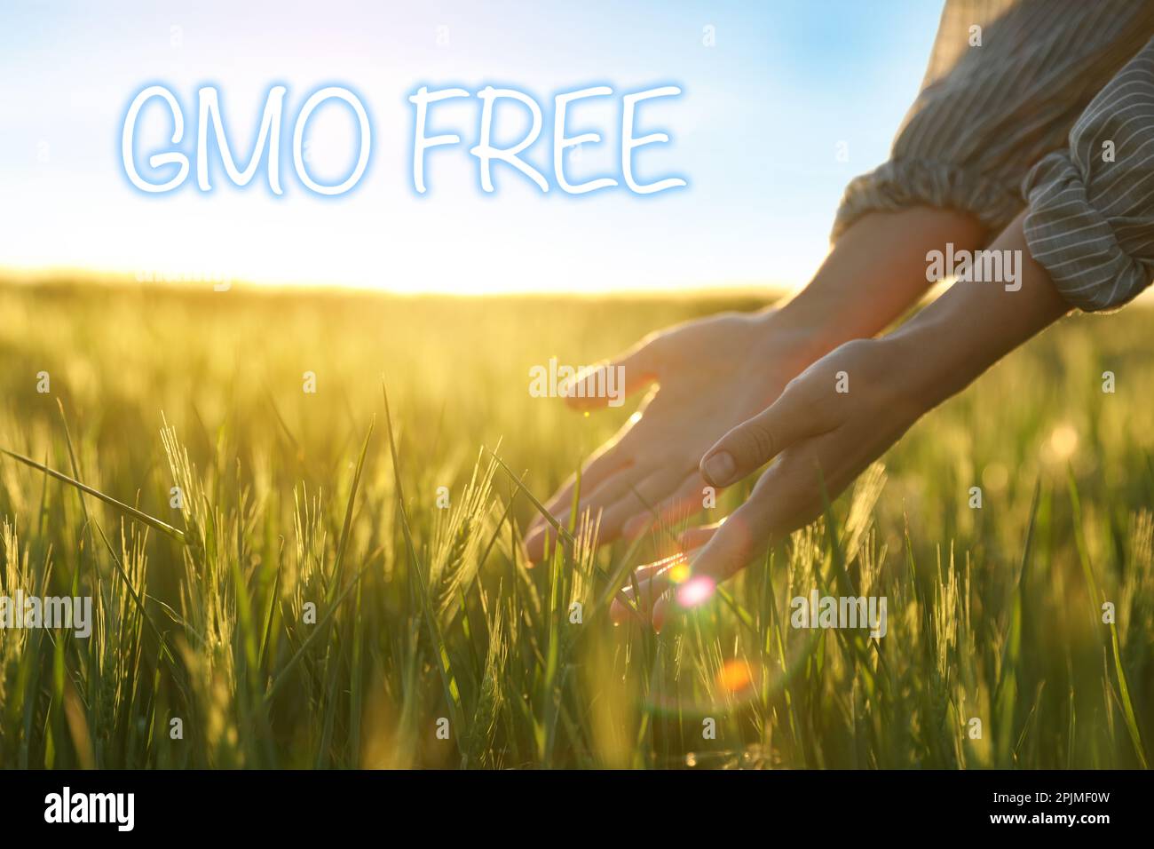 Gmo concept closeup view hi-res stock photography and images - Alamy
