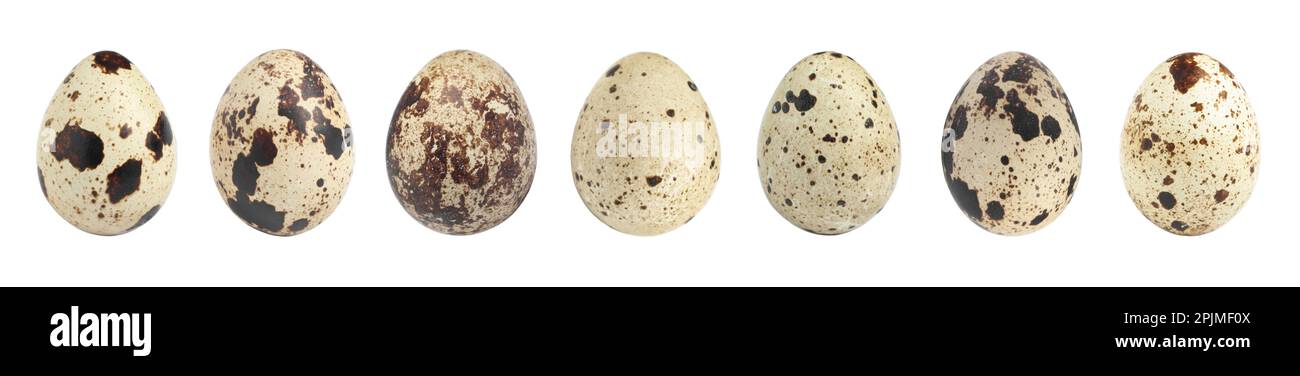 Set with quail eggs on white background. Banner design Stock Photo - Alamy