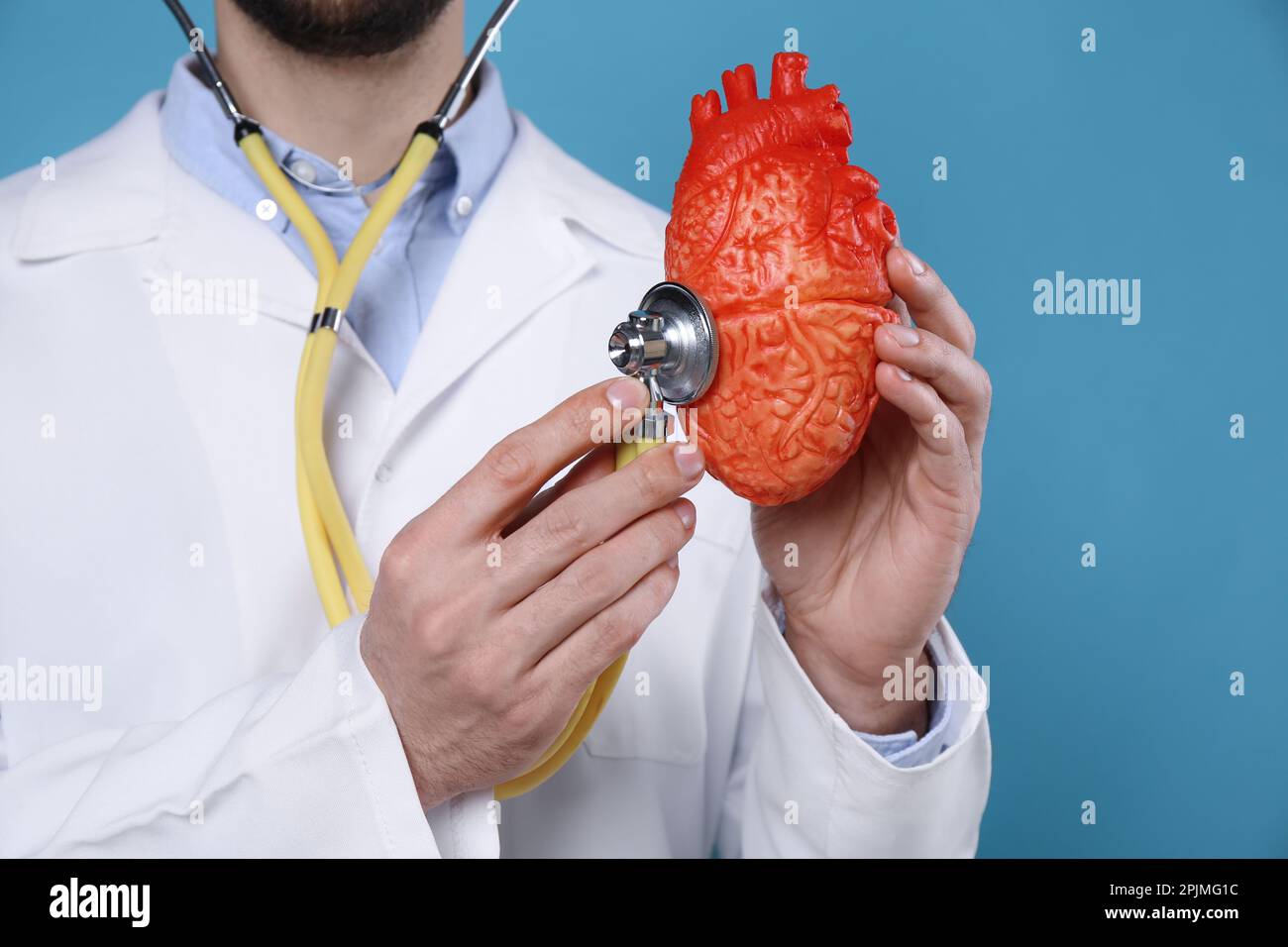 Doctor with stethoscope and model of heart on light blue background ...