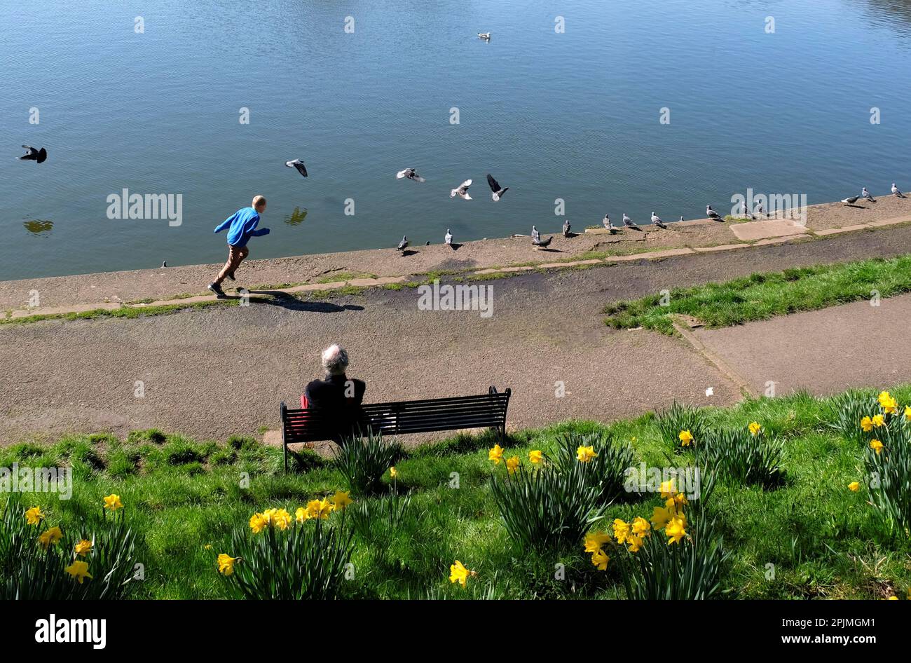 Inverleith pond park edinburgh hi-res stock photography and images - Alamy