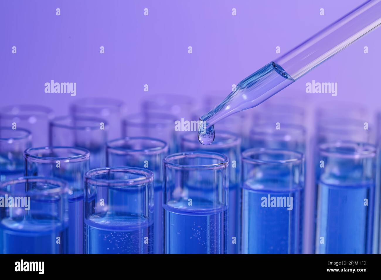 Dripping reagent into test tube on violet background, closeup with ...