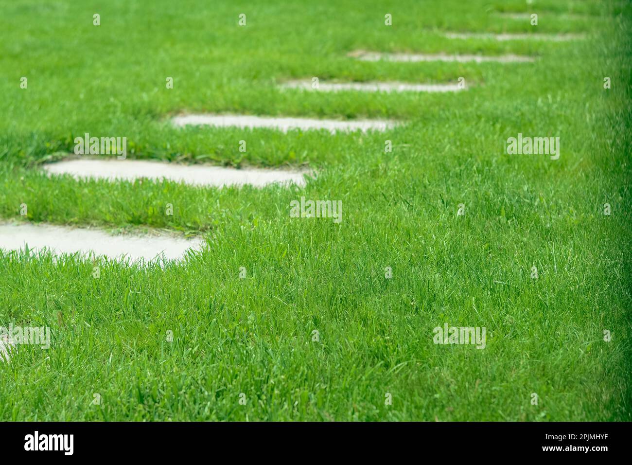 Path in garden with beautiful bright green grass Stock Photo - Alamy