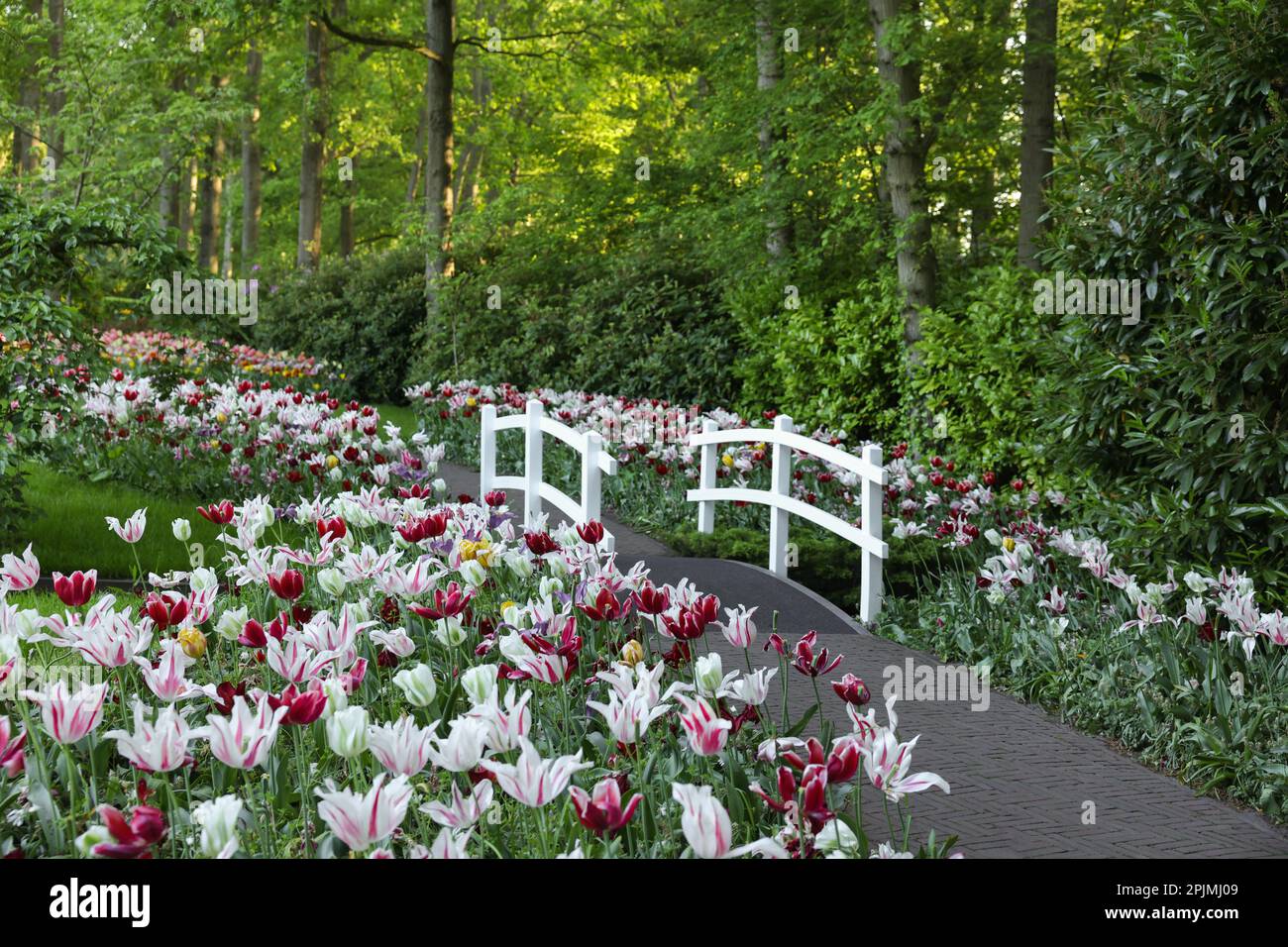 Park with beautiful flowers and bridge over canal. Spring season Stock ...