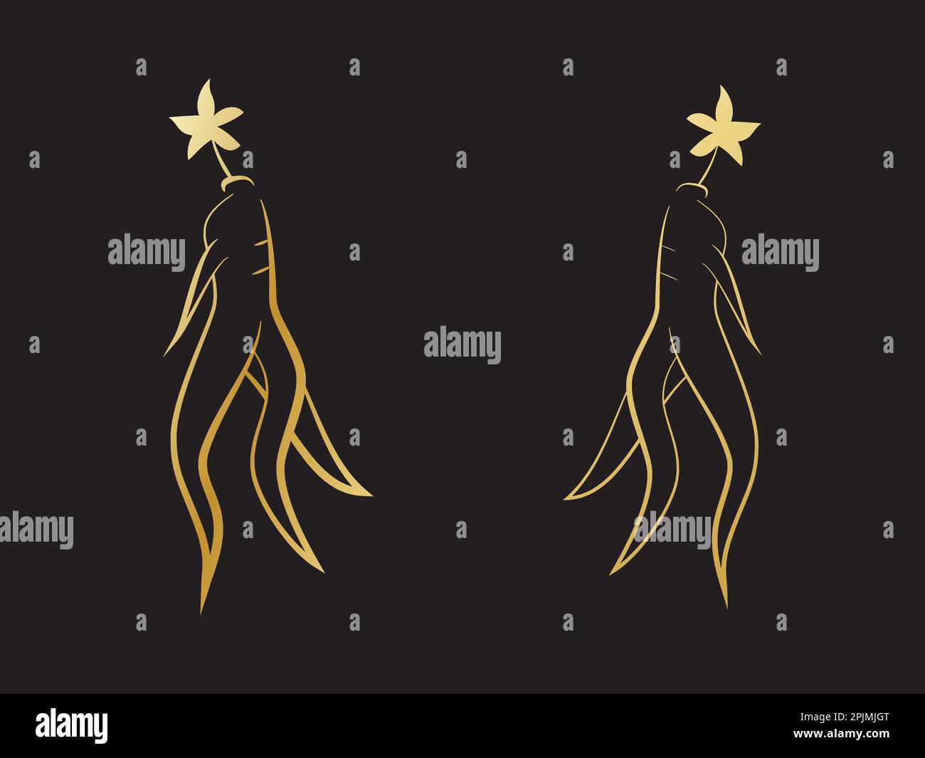 Red korean or chinese ginseng root. Line, glyph style symbols. Premium ...