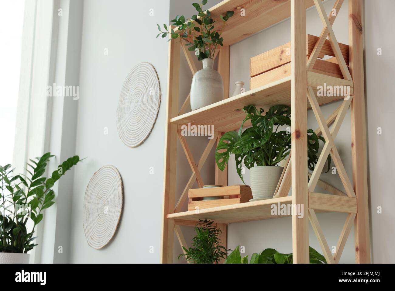 Wooden shelving unit with beautiful house plants indoors, low angle ...