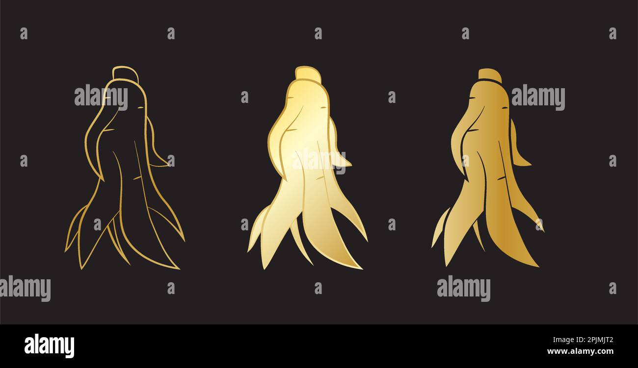 Red korean or chinese ginseng root. Line, glyph style symbols. Premium ...