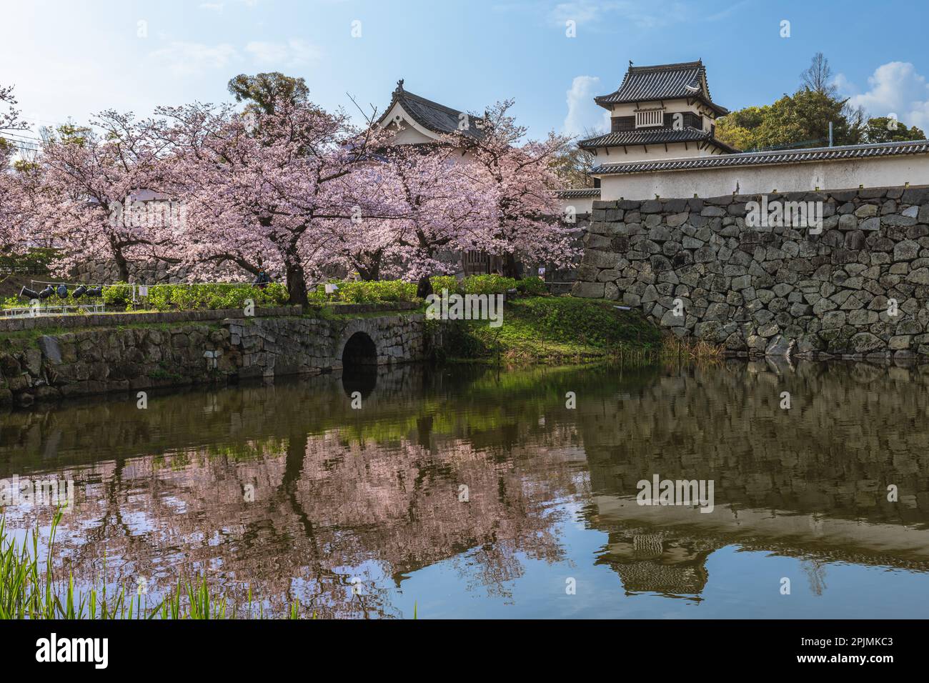 Fukuoka castle with cherry blossom in Fukuoka, Kyushu, Japan Stock Photo - Alamy
