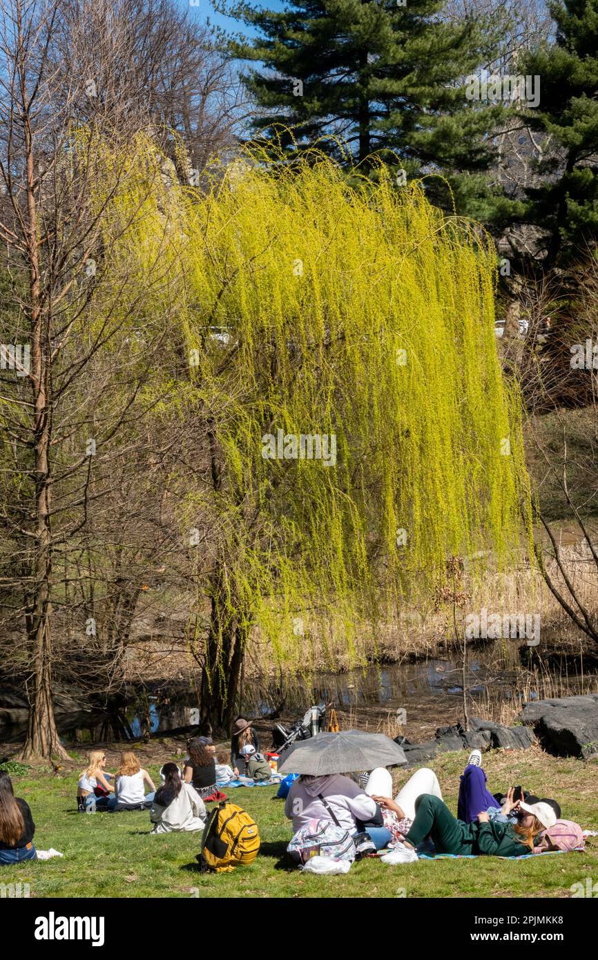 Springtime 2023 hi-res stock photography and images - Alamy