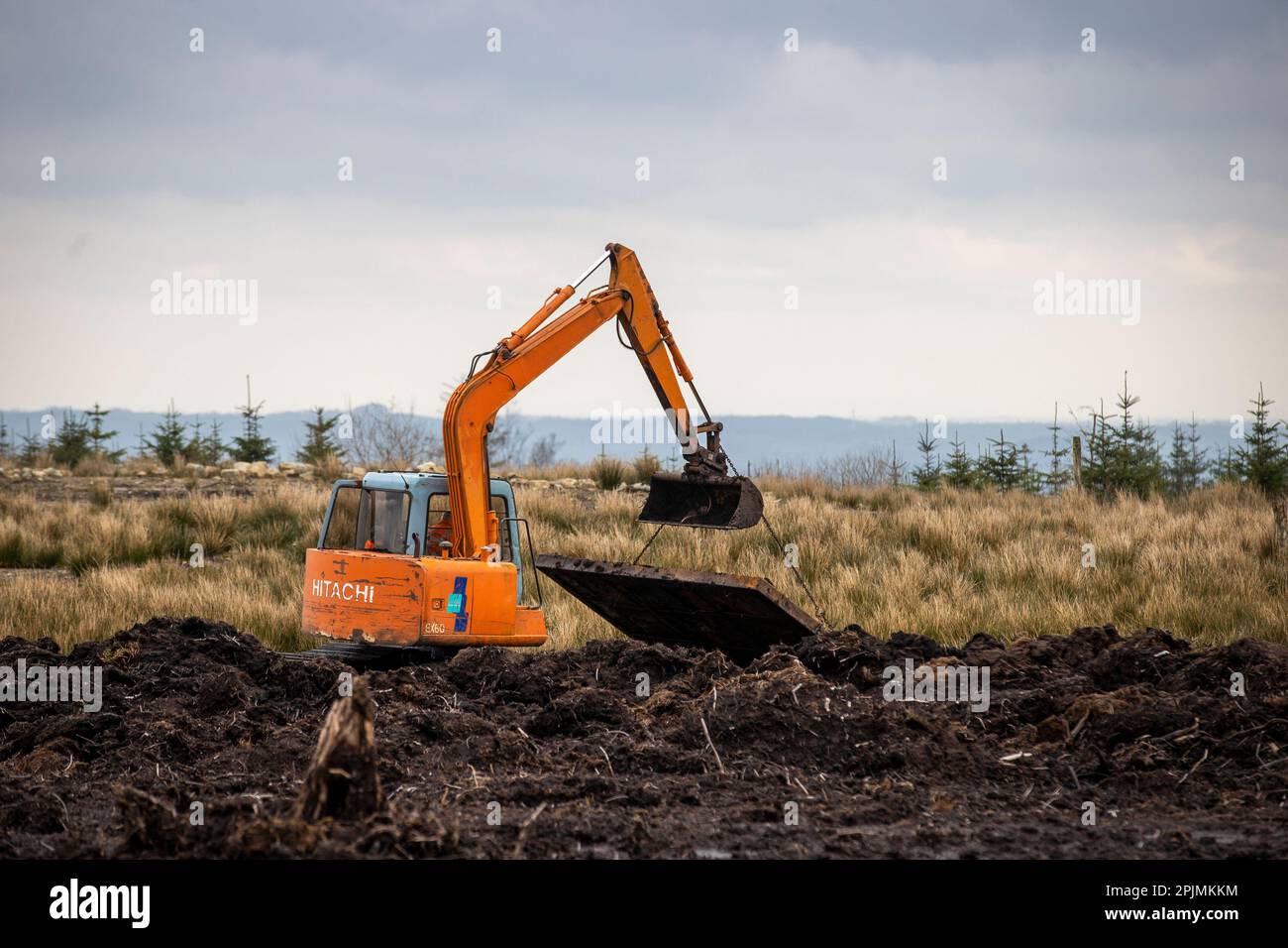 The search resumes at Bragan bog near Emyvale in Co Monaghan, for the ...