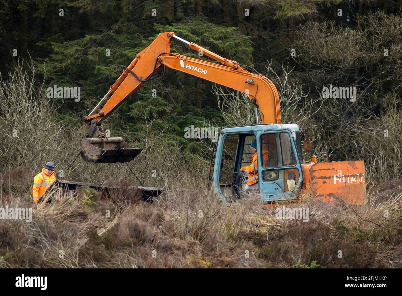 The search resumes at Bragan bog near Emyvale in Co Monaghan, for the ...