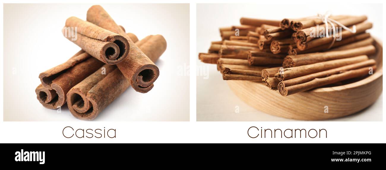 Collage with photos of cassia and ceylon cinnamon sticks on white ...