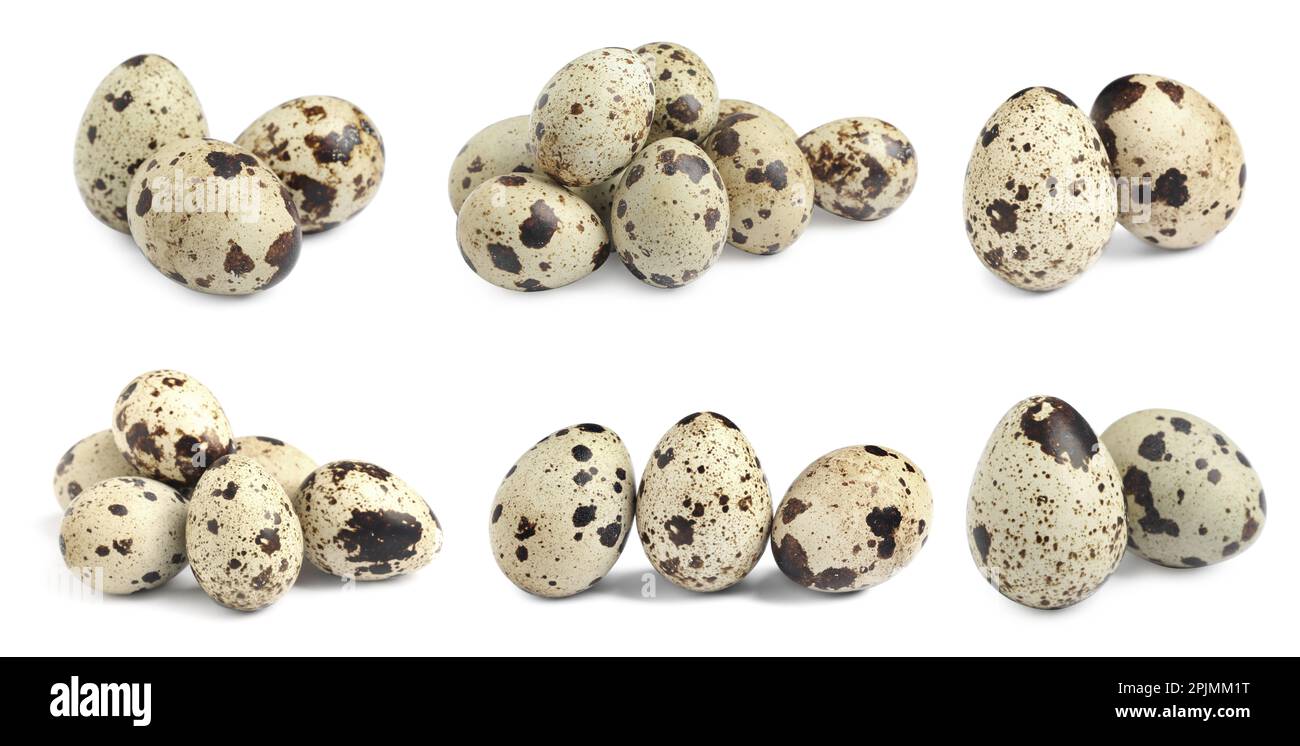 Set with quail eggs on white background. Banner design Stock Photo - Alamy