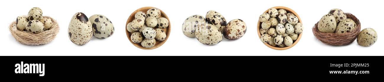 Set with quail eggs on white background. Banner design Stock Photo - Alamy