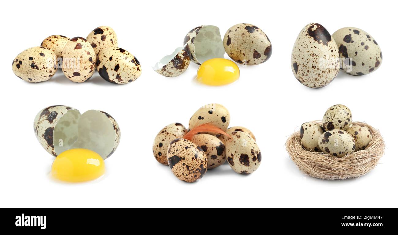 Set with quail eggs on white background. Banner design Stock Photo - Alamy