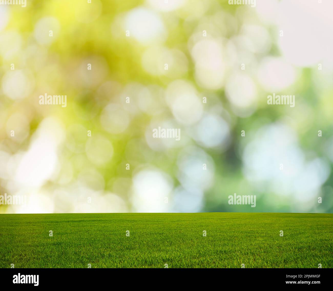 Beautiful lawn with green grass on sunny day. Bokeh effect Stock Photo ...