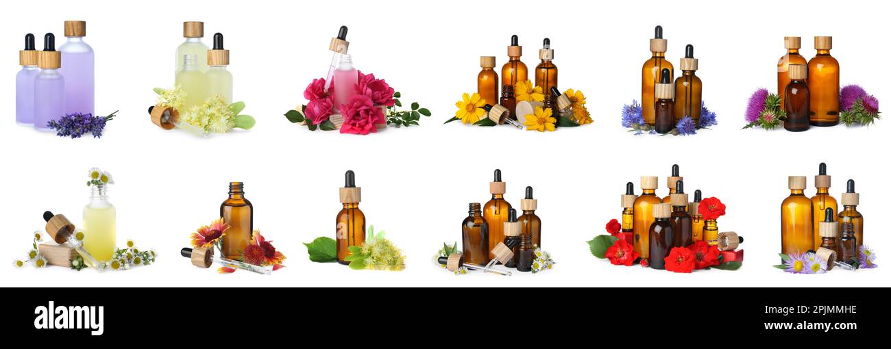 Set with different natural essential oils and flowers on white ...
