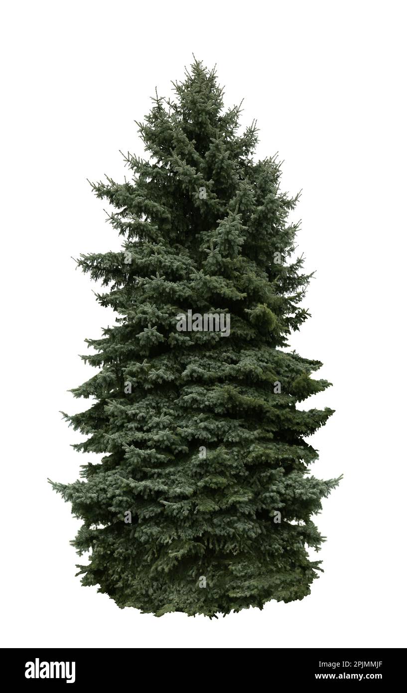 Beautiful garden white building Cut Out Stock Images & Pictures - Alamy