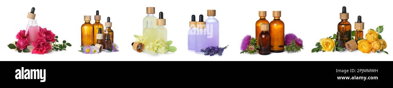 Set with different natural essential oils and flowers on white ...