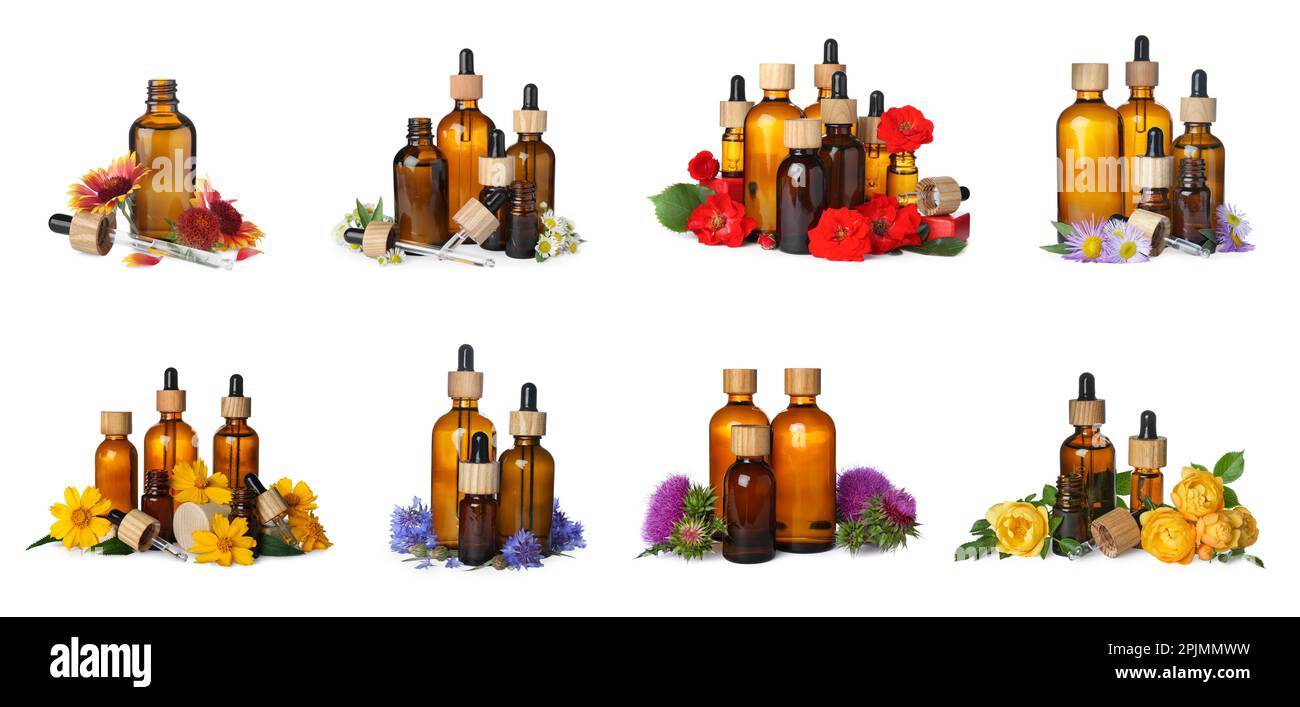 Set with different natural essential oils and flowers on white ...