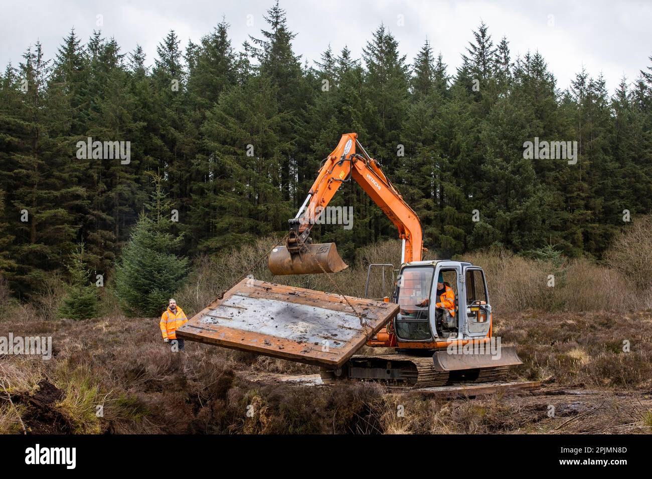 The search resumes at Bragan bog near Emyvale in Co Monaghan, for the ...