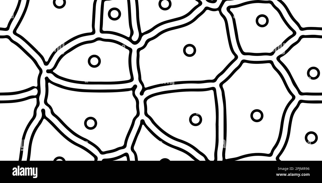 Seamless organic, biological pattern. Abstract shapes like cells. Bio ...