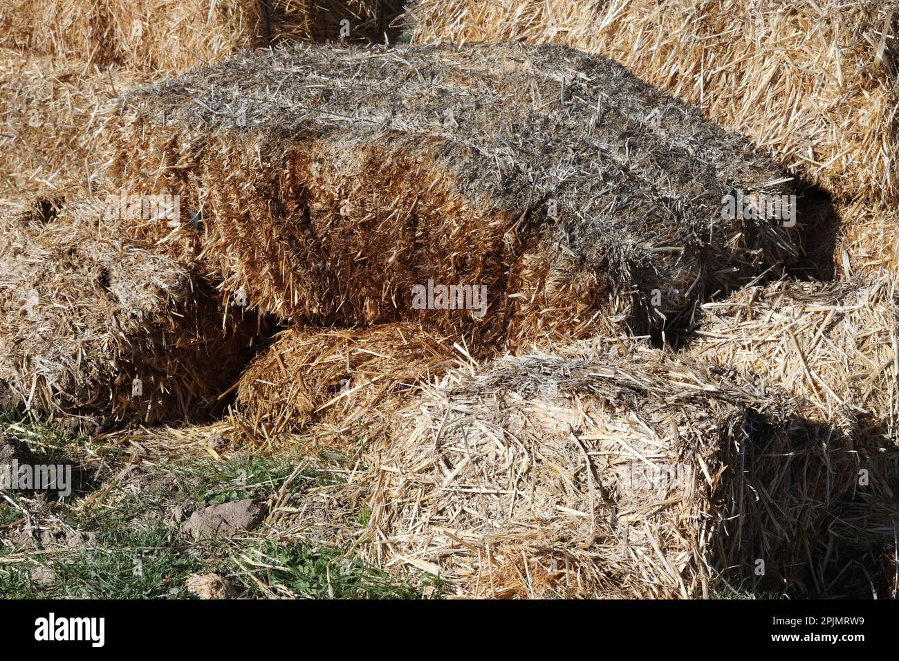 Old dry straw pile close up background Stock Photo - Alamy