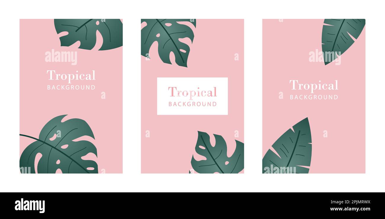 Tropical leaves top view. Summer background with green leaves. Pink ...