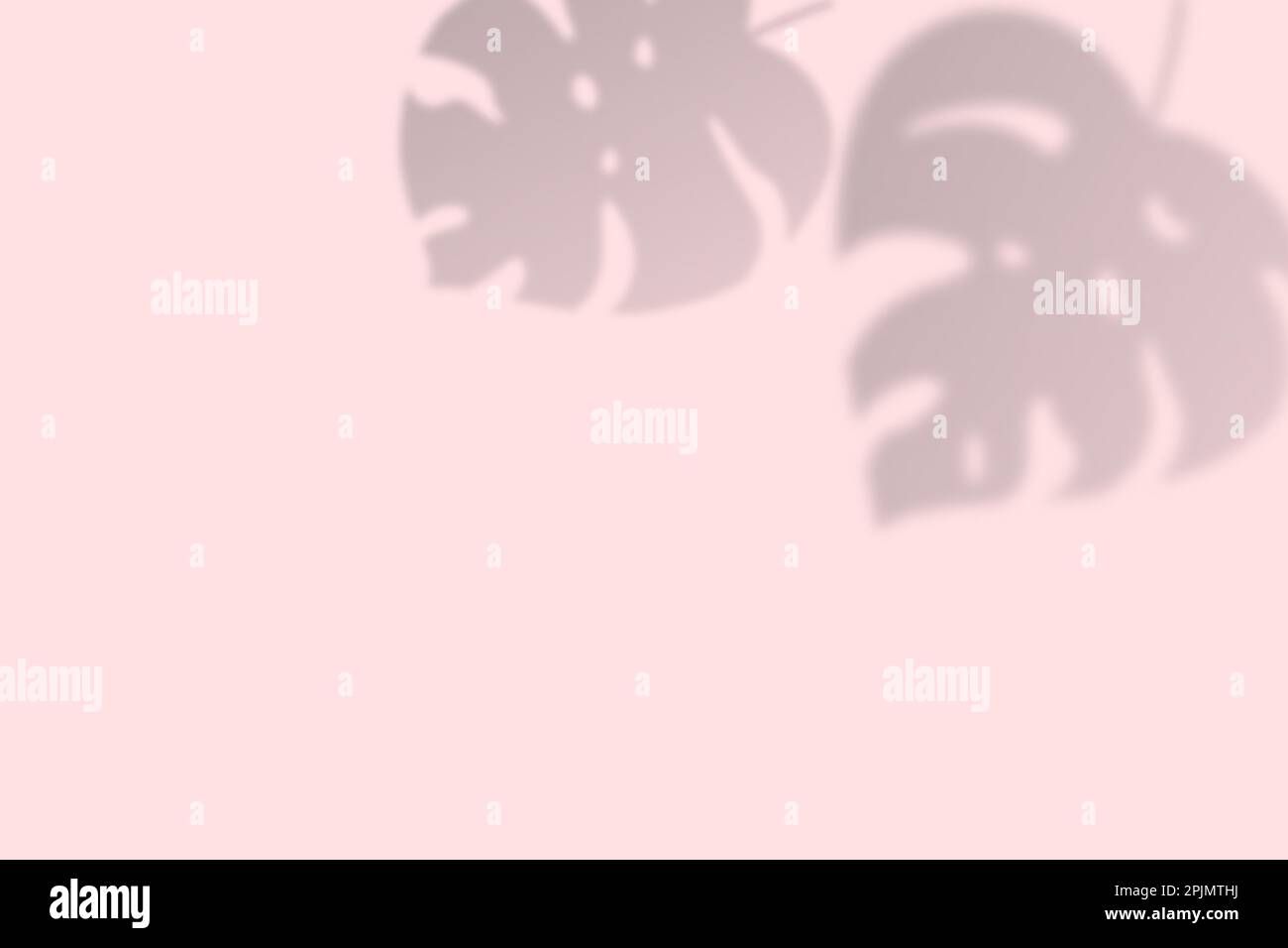 Shadow effects with tropical monstera leaves in the corner. Flat lay ...