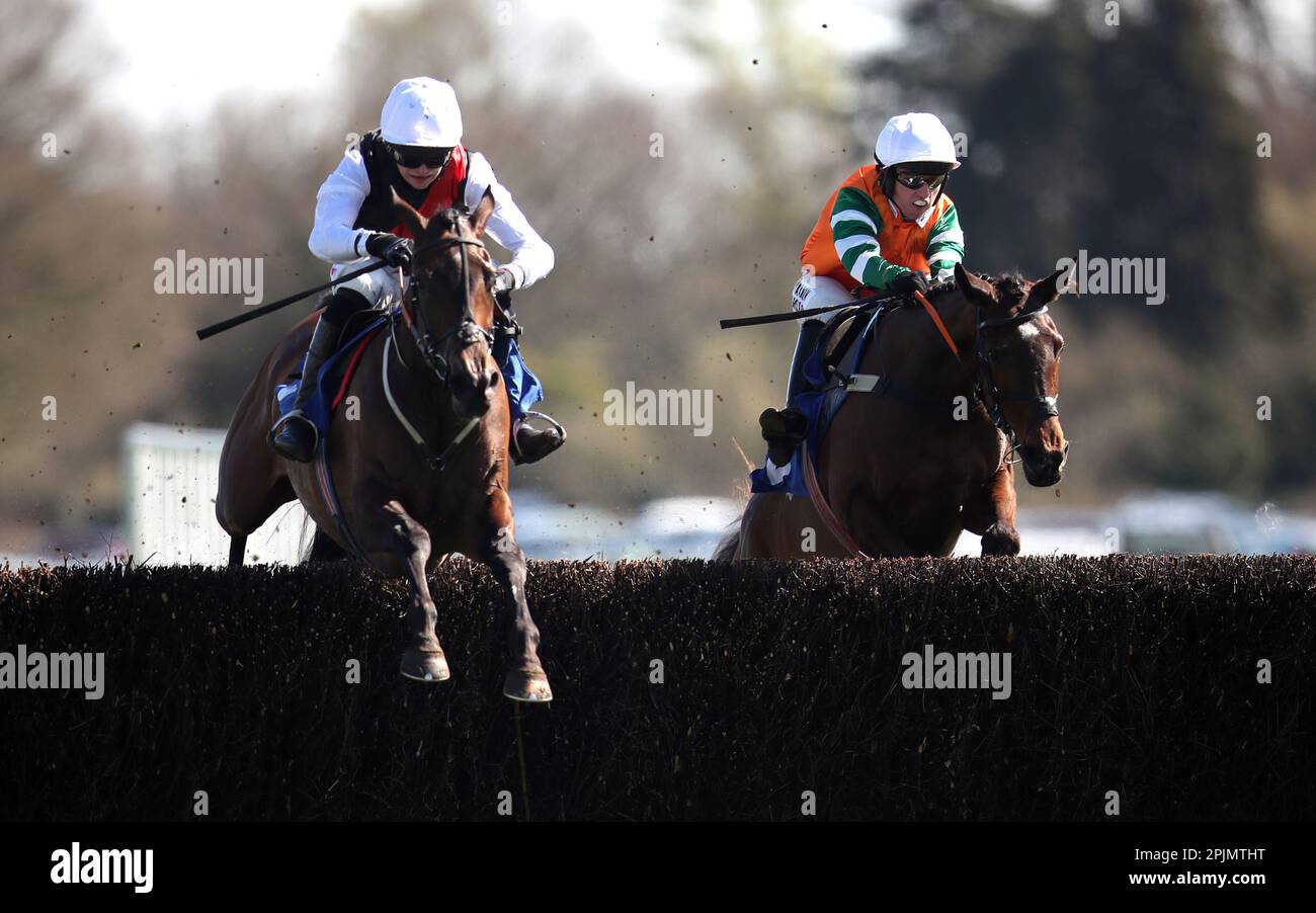 La renommee horse hi-res stock photography and images - Alamy