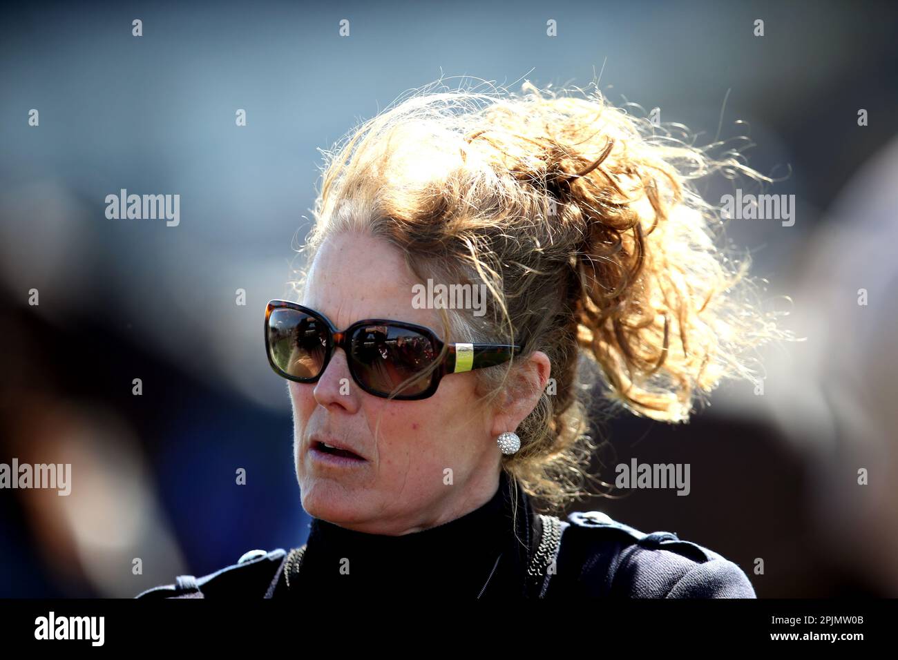 Ludlow racecourse 2023 hi-res stock photography and images - Alamy