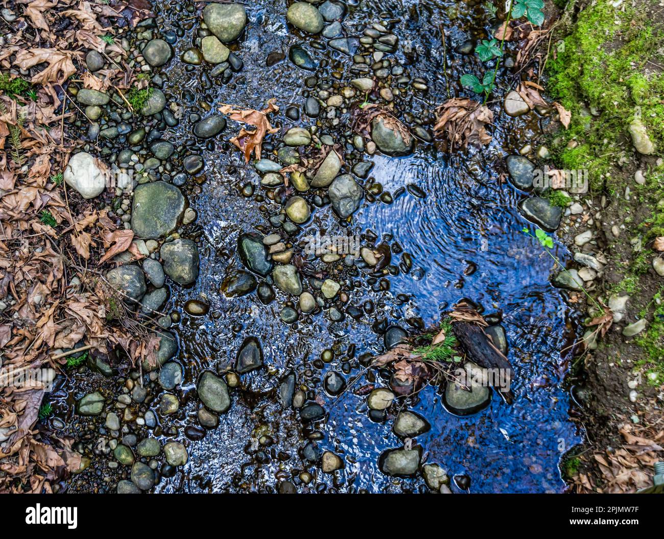 Bellevue botanitcal garden hi-res stock photography and images - Alamy