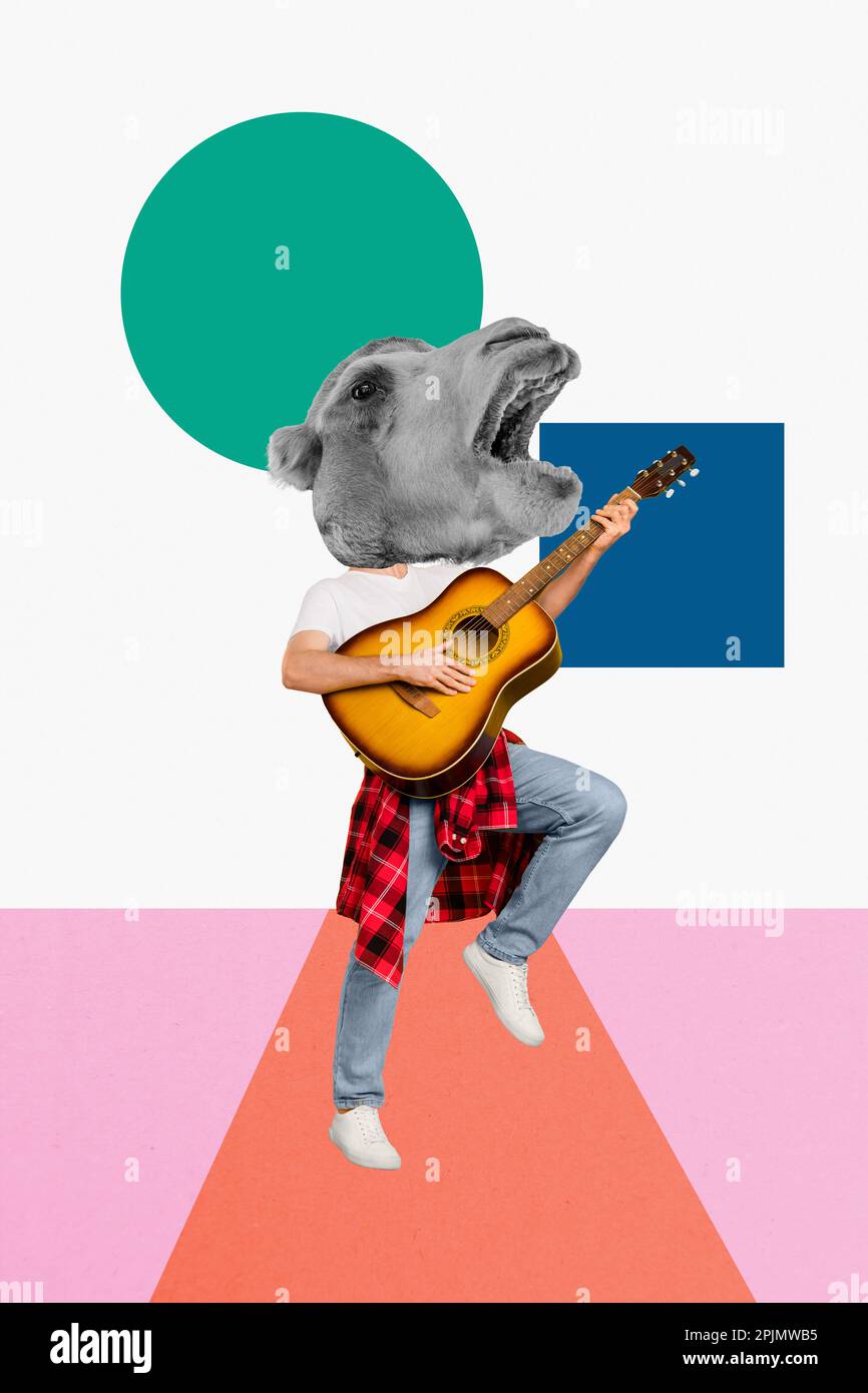 Vertical collage of headless camel singer playing guitar excited hold ...