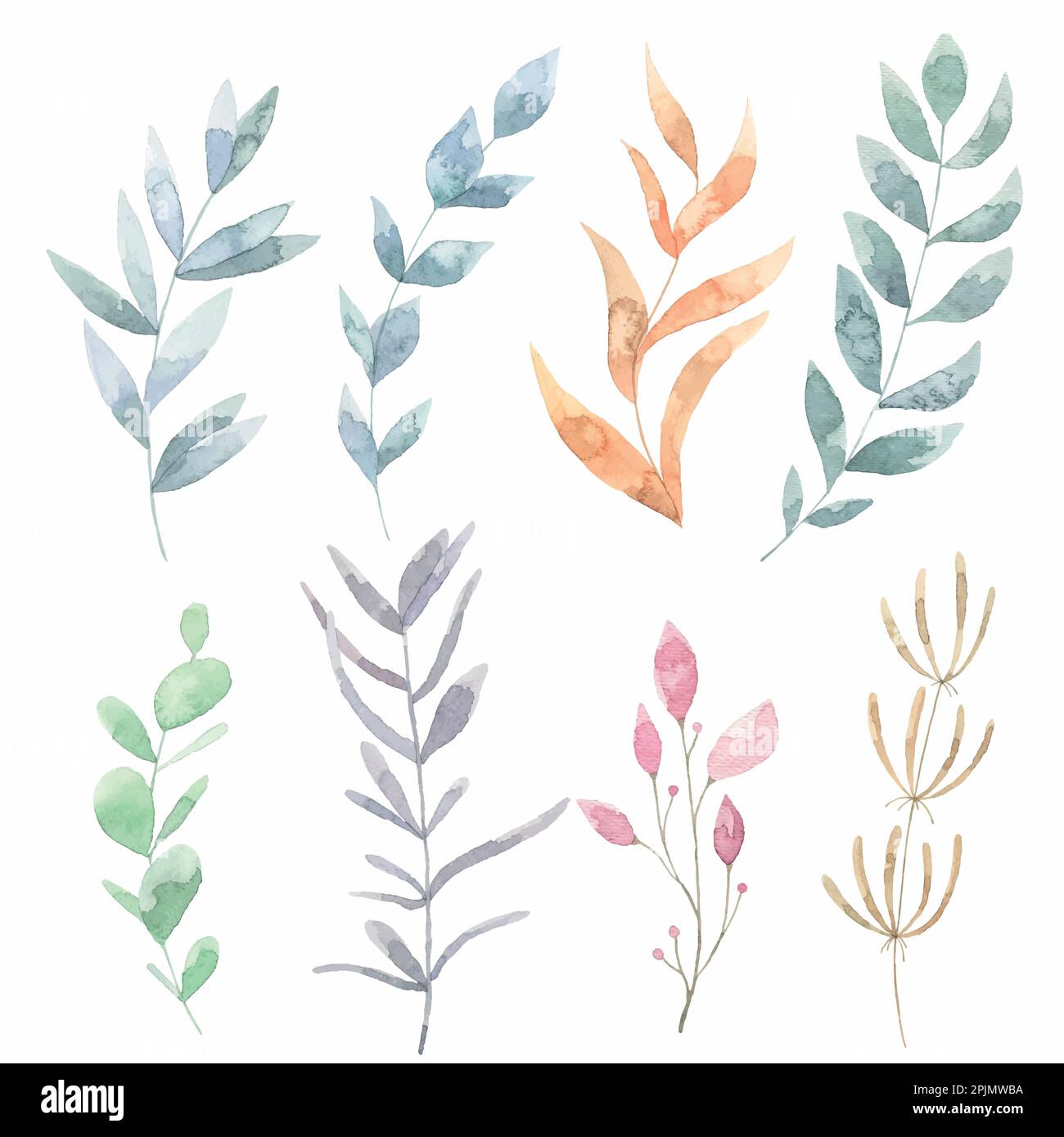 Abstract watercolour plants Stock Vector Images - Alamy