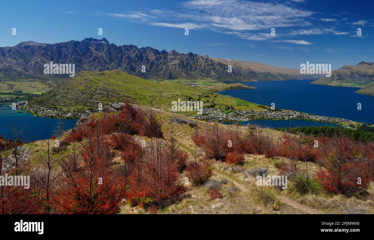 Queenstown new zealand views hi-res stock photography and images - Alamy