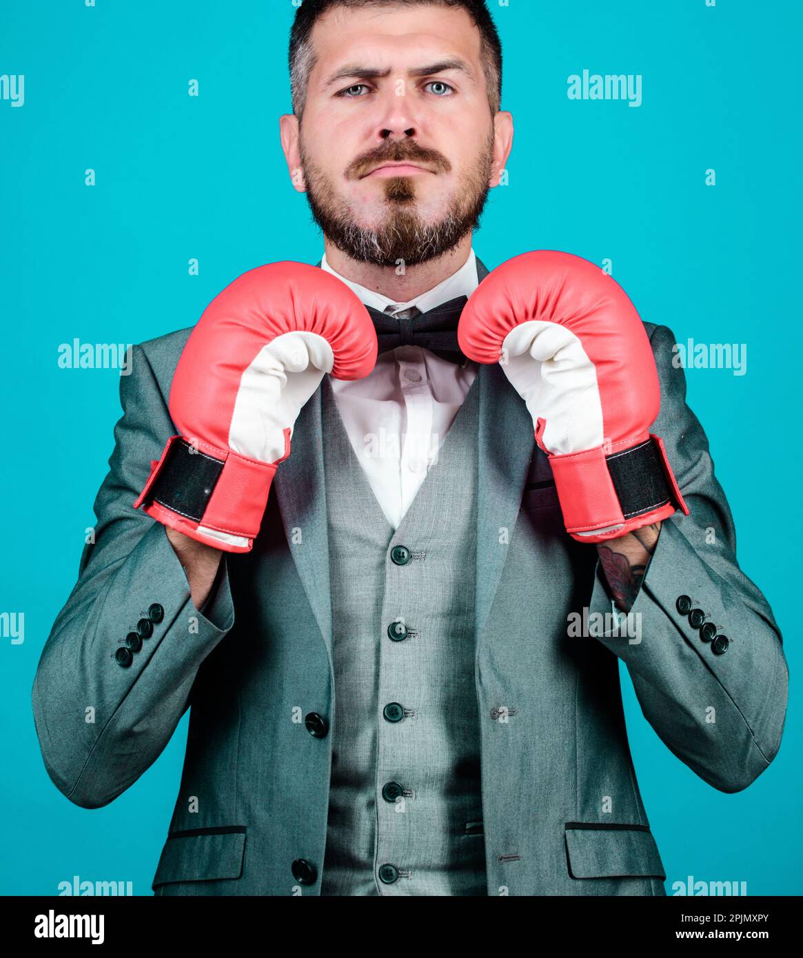 Business coach. businessman in formal suit and bow tie. bearded man in ...