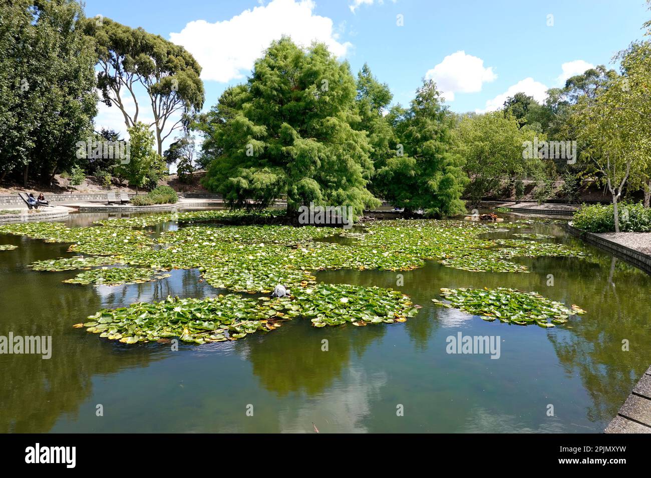 Wilson botanic garden, Berwick, Victoria, Australia Stock Photo - Alamy