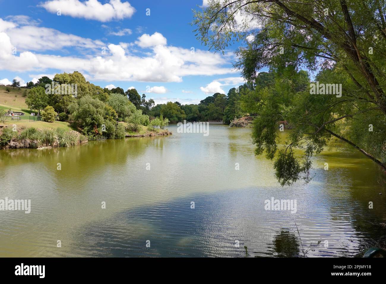 Wilson botanic garden, Berwick, Victoria, Australia Stock Photo - Alamy