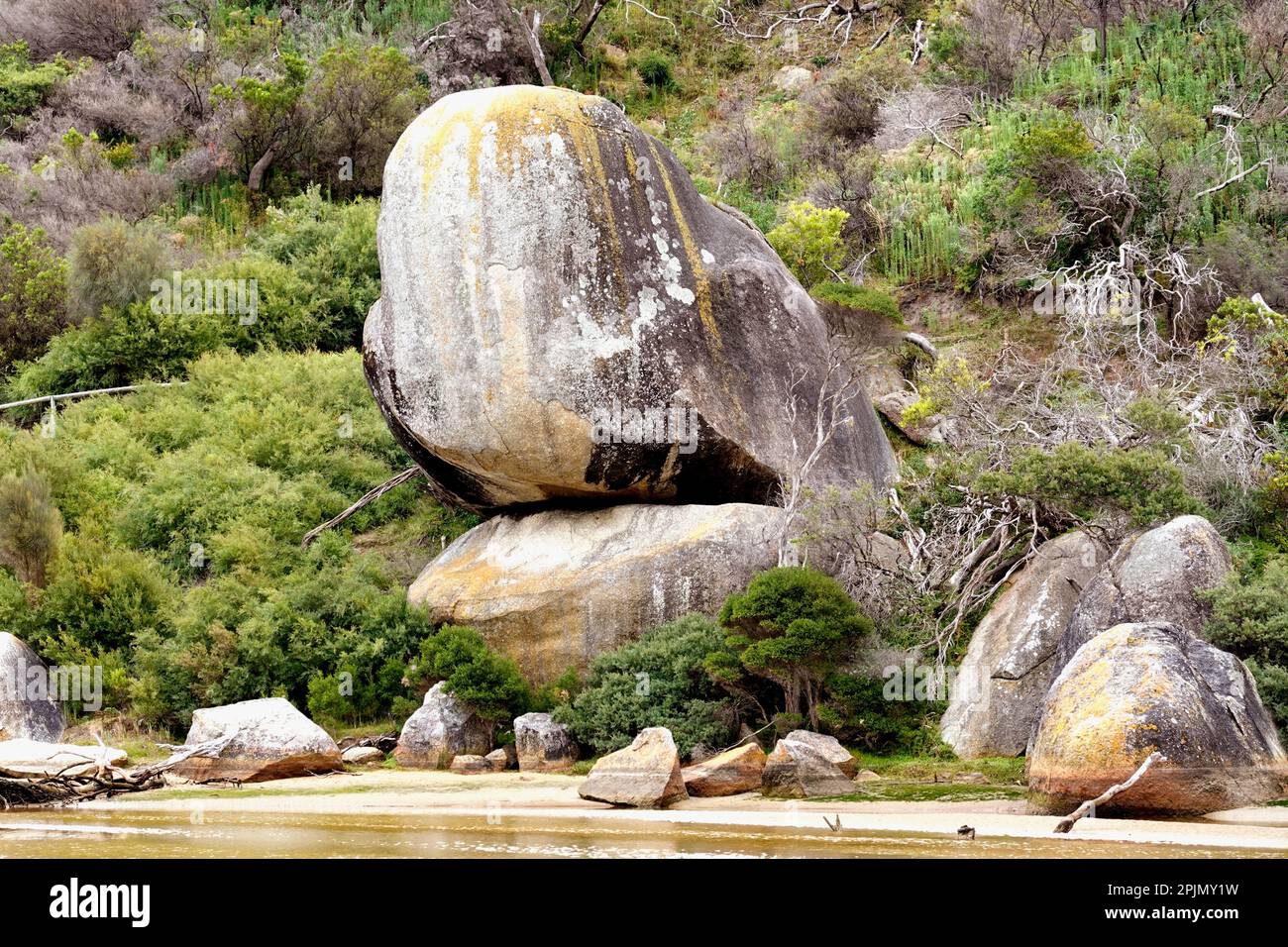Unusual shaped boulder at Tidal River in Wilsons prom, Victoria ...