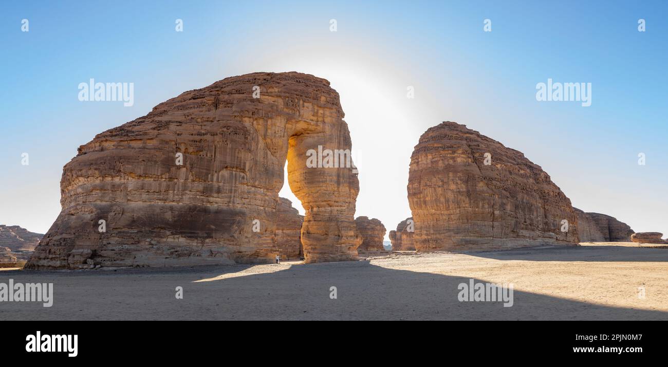 Sandstone elephant rock erosion monolith standing in the desert, Al Ula ...